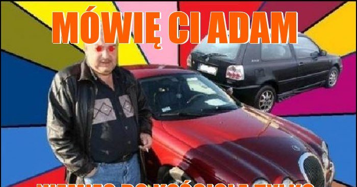 Mówię Ci Adam memy, gify i śmieszne obrazki facebook, tapety ...