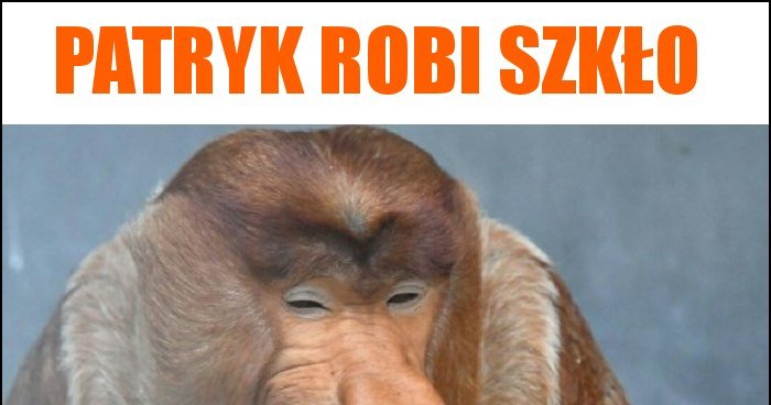 Patryk robi szkło memy, gify i śmieszne obrazki facebook, tapety ...