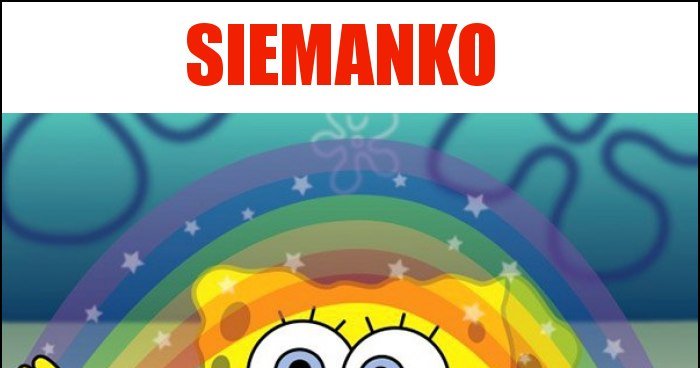 Siemanko memy, gify i śmieszne obrazki facebook, tapety, demotywatory zdjęcia