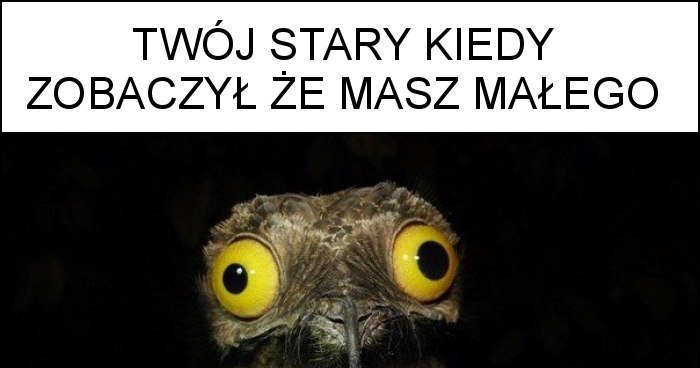 Twój stARY KIEDY ZOBACZYŁ ŻE MASZ MAŁEGO memy, gify i śmieszne obrazki ...