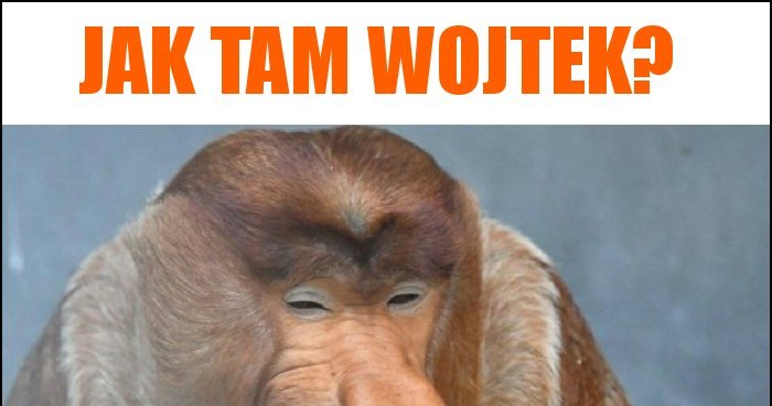 Jak tam Wojtek? memy, gify i śmieszne obrazki facebook, tapety ...