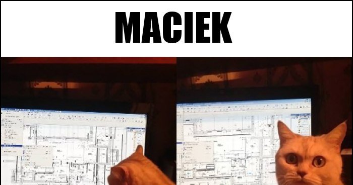 Maciek memy, gify i śmieszne obrazki facebook, tapety, demotywatory zdjęcia