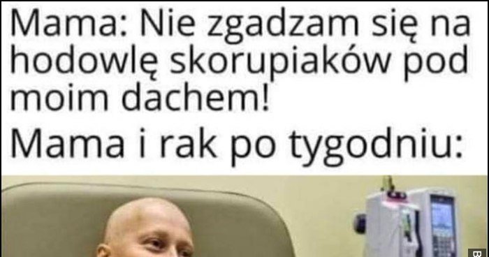 Mama: nie zgadzam się na hodowlę skorupiaków pod moim dachem, mama i ...