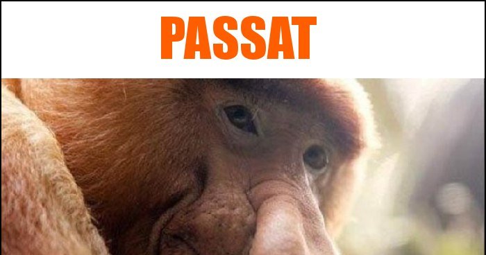 Passat memy, gify i śmieszne obrazki facebook, tapety, demotywatory zdjęcia