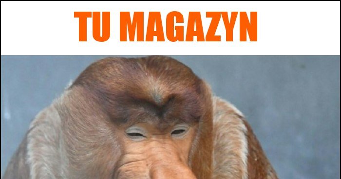 Tu magazyn memy, gify i śmieszne obrazki facebook, tapety, demotywatory ...