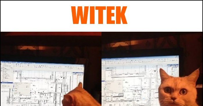 Witek memy, gify i śmieszne obrazki facebook, tapety, demotywatory zdjęcia