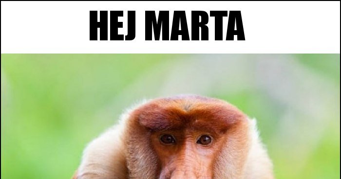 Hej Marta memy, gify i śmieszne obrazki facebook, tapety, demotywatory ...