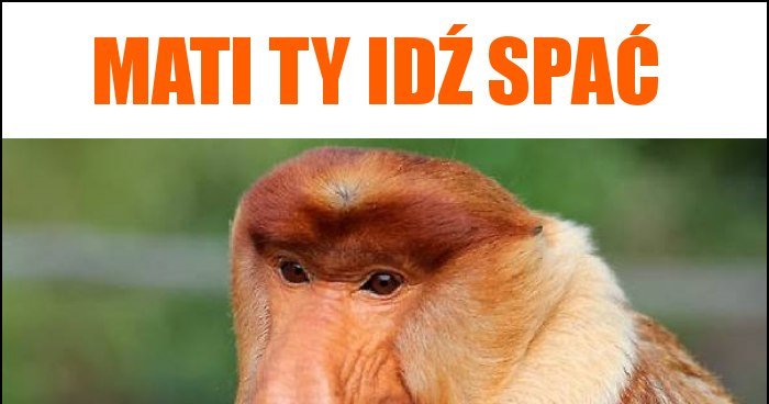 Mati Ty idź spać memy, gify i śmieszne obrazki facebook, tapety ...