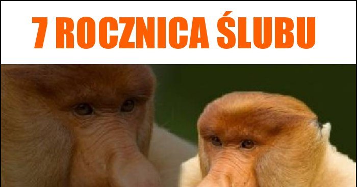 7 ROCZNICA ŚLUBU memy, gify i śmieszne obrazki facebook, tapety ...