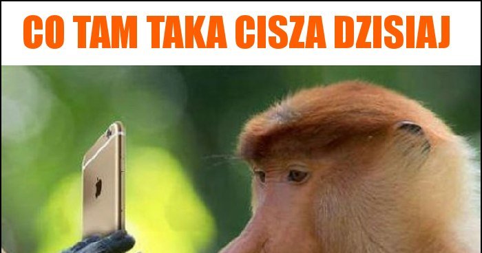 CO TAM TAKA CISZA DZISIAJ memy, gify i śmieszne obrazki facebook ...