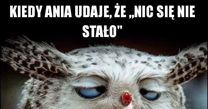 Kiedy Ania udaje, że „nic się nie stało memy, gify i śmieszne obrazki ...