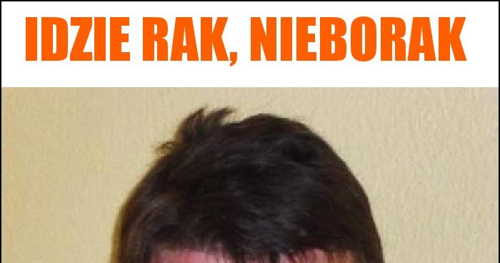 Idzie rak, nieborak memy, gify i śmieszne obrazki facebook, tapety ...