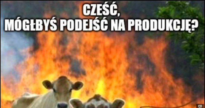 Cześć, mógłbyś podejść na produkcję? Pożar złe wkurzone krowy memy ...