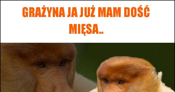 Grażyna ja już mam dość mięsa.. memy, gify i śmieszne obrazki facebook ...