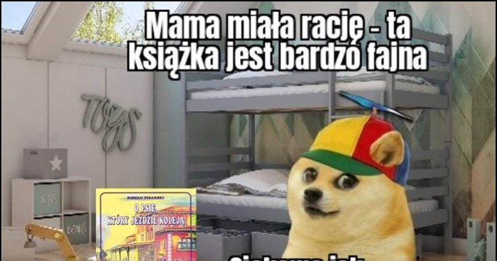 O psie który jeździł koleją bardzo fajna książka, ciekaw ejak się ...