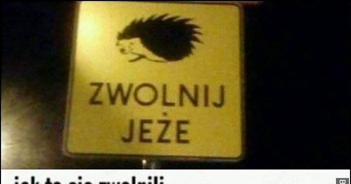 Znak zwolnij jeże, jak to cię zwolnili? memy, gify i śmieszne obrazki ...