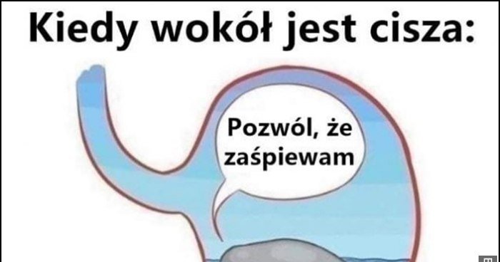 Kiedy wokół jest cisza mój brzuch żołądek: pozwól że zaśpiewam memy ...