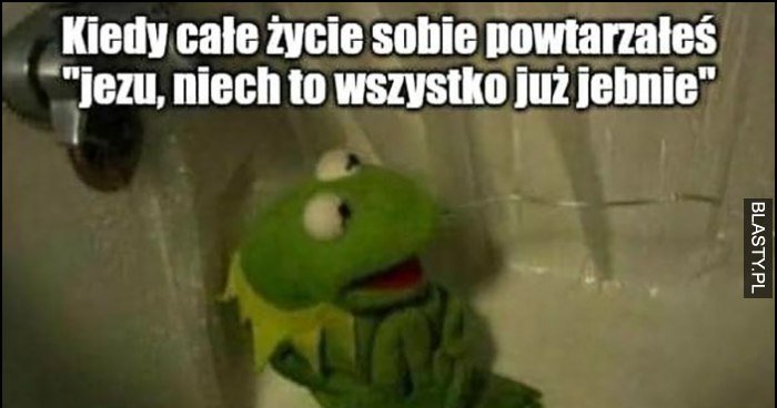 Kermit kiedy całe życie sobie powtarzałeś niech to wszystko jebnie ale ...