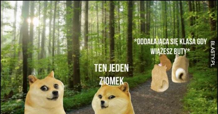 Oddalająca się klasa gdy wiążesz buty, ten jeden ziomek czeka pies ...