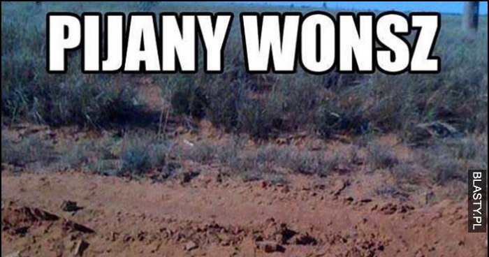 Pijany wonsz wąż z puszką na głowie memy, gify i śmieszne obrazki ... Pijany wonsz wąż z puszką na głowie memy, gify i śmieszne obrazki ...