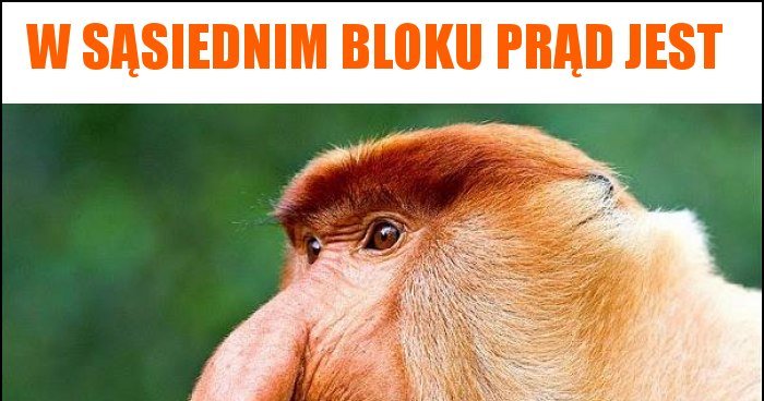 W sąsiednim bloku prąd jest memy, gify i śmieszne obrazki facebook ...