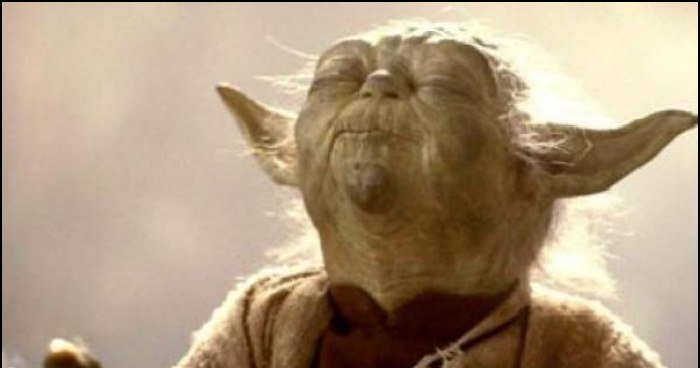 WRÓŻBITA ADAM memy, gify i śmieszne obrazki facebook, tapety ...