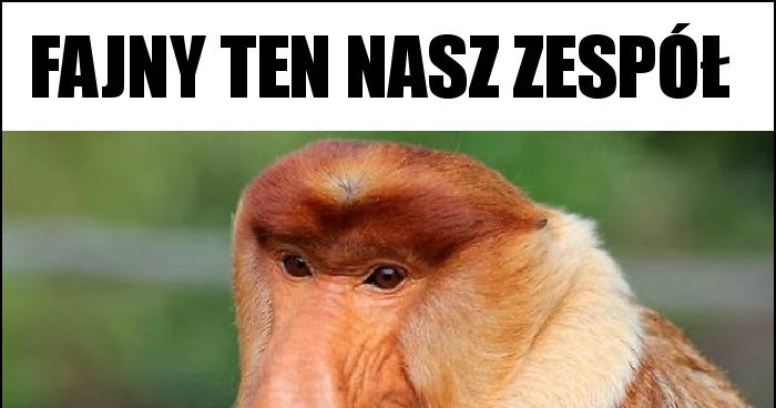 Fajny ten nasz zespół memy, gify i śmieszne obrazki facebook, tapety ...