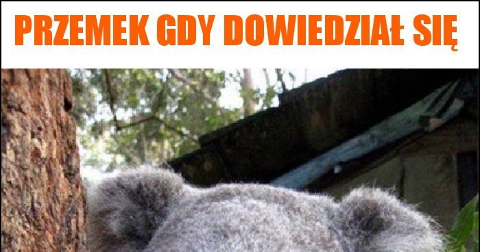 Przemek gdy dowiedział się memy, gify i śmieszne obrazki facebook ... Przemek gdy dowiedział się memy, gify i śmieszne obrazki facebook ...