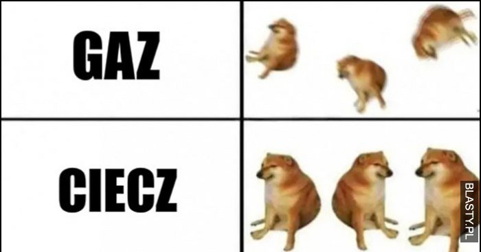 Gaz ciecz ciało stałe porównanie pies pieseł doge cheems memy, gify i śmieszne obrazki facebook ...