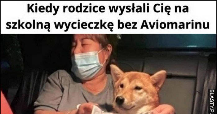 Kiedy rodzice wysłali Cię na szkolną wycieczkę bez aviomarinu pies ...