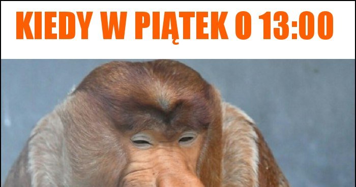 kiedy w piątek o 13:00 memy, gify i śmieszne obrazki facebook, tapety ...