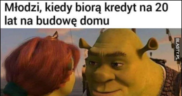 Shrek, młodzi kiedy biorą kredyt na 20 lat na budowę domu: niedługo ...