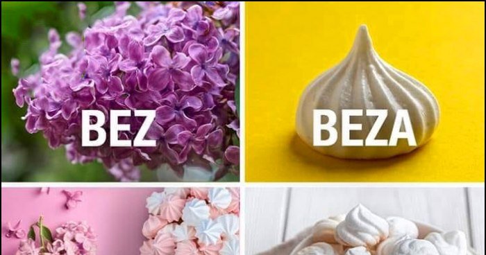 Bez, beza, bez i bezy, bezy bez bzu, bez bez bez, bez bzu i bez bez ...