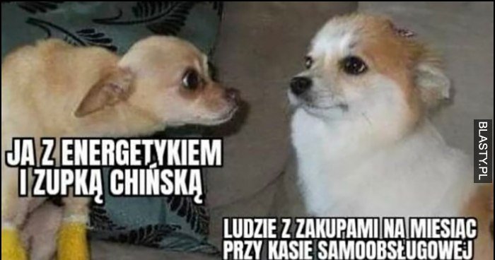 Ja z energetykiem i zupką chińską vs ludzie z zakupami na miesiąc przy ...