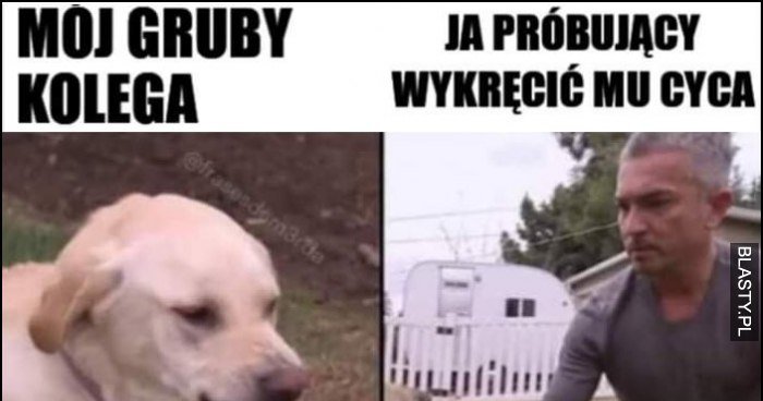 Mój gruby kolega vs ja próbujący wykręcić mu cyca zły pies memy, gify i ...