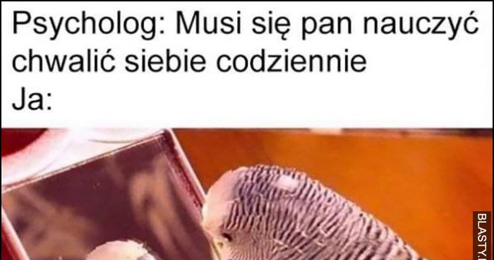 Psycholog: musi się pan nauczyć chwalić siebie codziennie vs ja papuga ...
