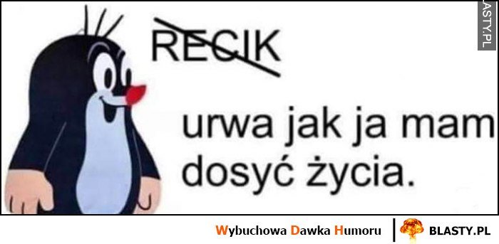 Rebus: Krecik kurna jak ja mam dosyć życia memy, gify i śmieszne ...