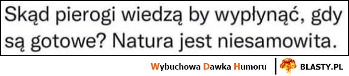 Skąd pierogi wiedzą, by wypłynąć gdy są gotowe? Natura jest niesamowita ...