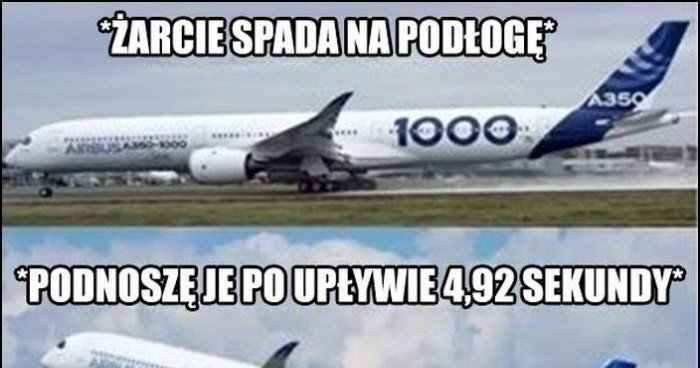 Żarcie spada na podłogę, podnoszę je po upływie 4,92 sekundy bakterie ...