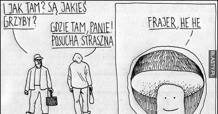 Grzybiarze i jak tam są jakieś grzyby? Gdzie tam panie, posucha ...