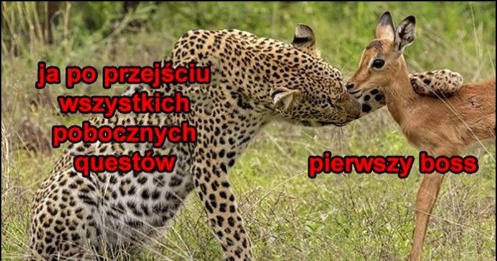 Ja po przejściu wszystkich pobocznych questów vs pierwszy boss wiesz ...