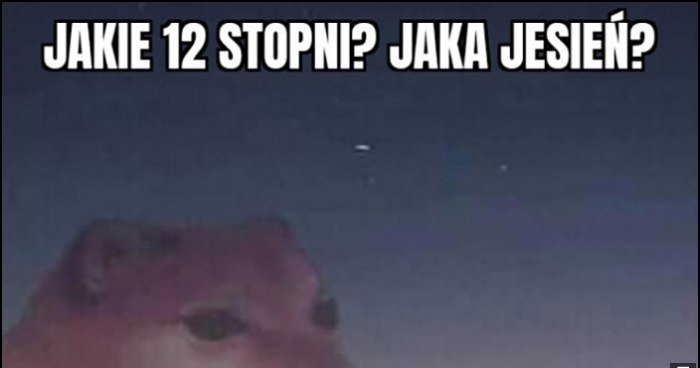 Jakie 12 stopni? Jaka jesień? Przecież ja nie zdążyłem odpocząć pies ...