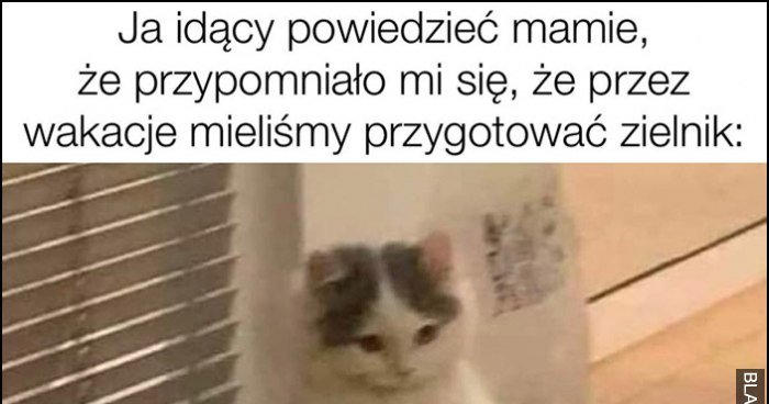 Kot kotek ja idący powiedzieć mamie, że przypomniało mi się, że przez ...