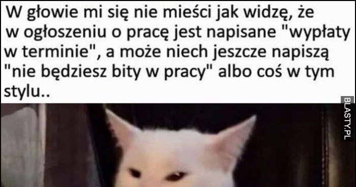 W ogłoszeniach o prace piszą wypłaty w terminie może niech jeszcze ...