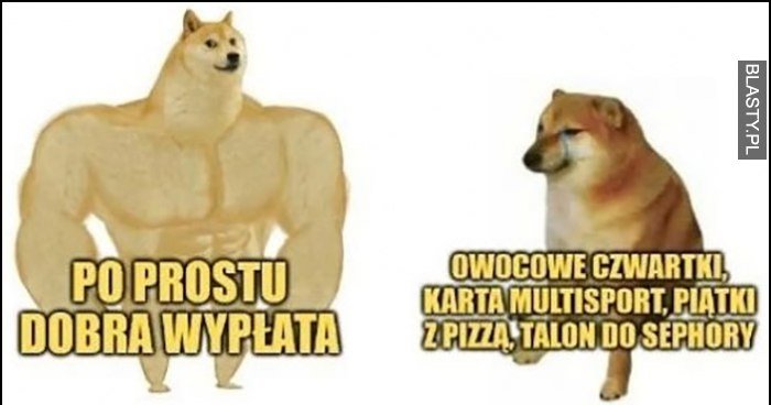 Owocowe czwartki, multisport, piątki z pizzą, talon do Sephory vs po prostu dobra wypłata pies ...