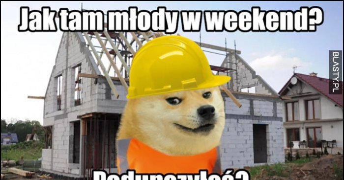 Budowlaniec: jak tam młody w weekend podupczyłeś? Pies pieseł doge memy ...