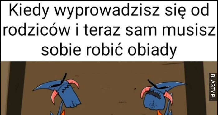 Kiedy wyprowadzisz się od rodziców i teraz sam musisz sobie robić ...