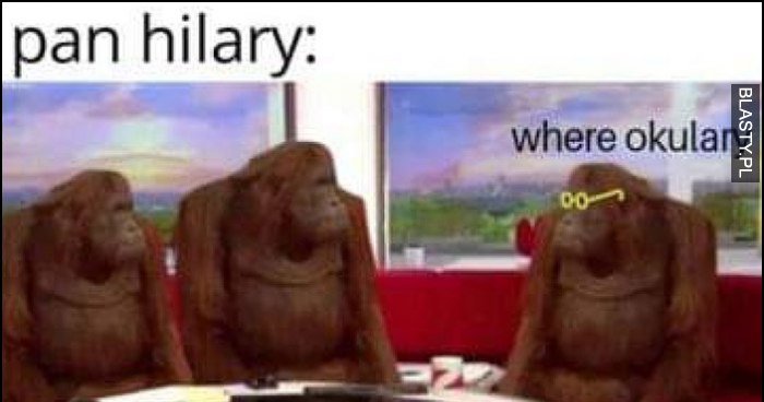 Pan Hilary: where okulary małpa małpy memy, gify i śmieszne obrazki ...