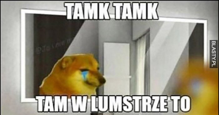 Tak tak tam w lustrze to niestety ja pies pieseł doge cheems memy, gify i śmieszne obrazki ...