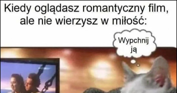 Kiedy oglądasz romantyczny film, ale nie wierzysz w miłość Titanic kot: wypchnij ją memy, gify i ...